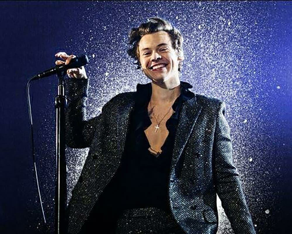 Harry Styles Paint By Numbers – Diamondpaintingpro