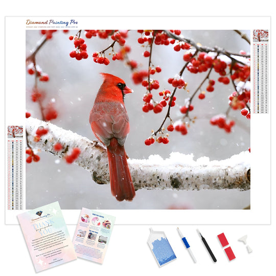 Cardinal Diamond Painting Kits | Full Drill Diamond Art ...