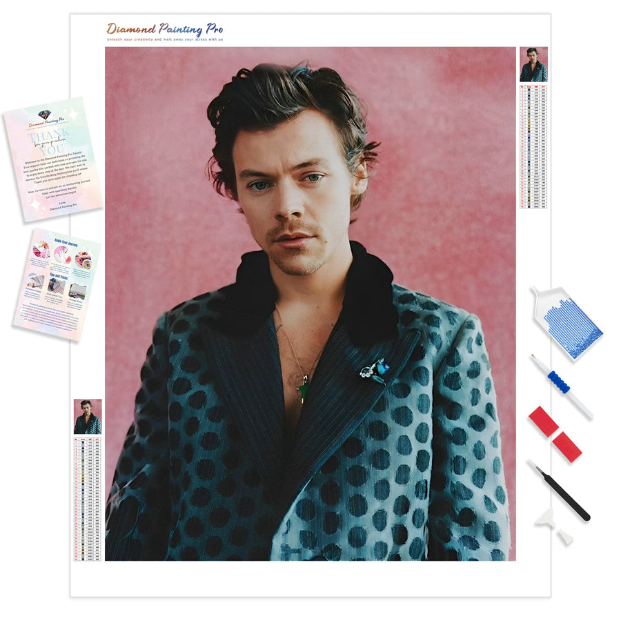 Harry Styles Diamond Painting Kits | Full Drill Diamond Art ...