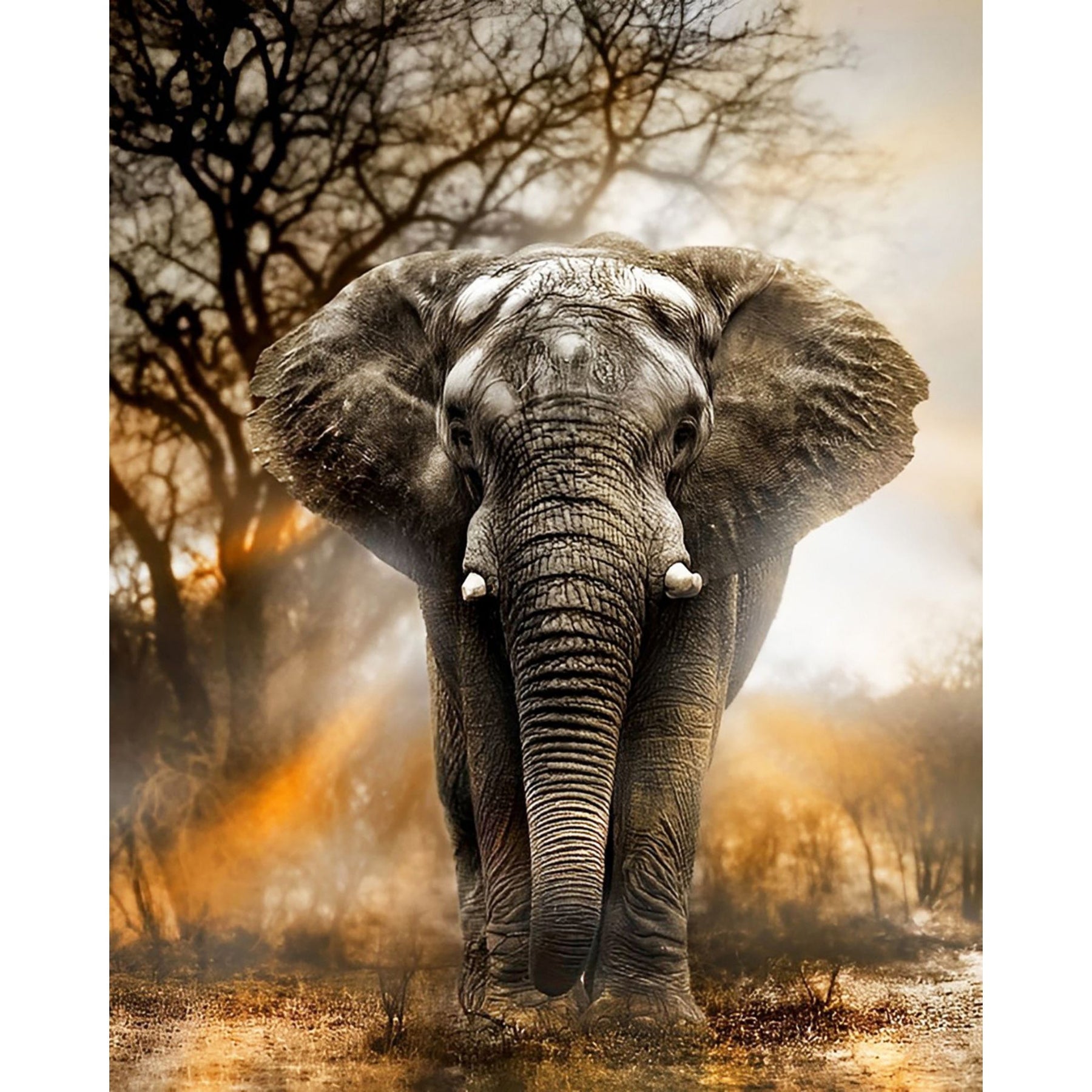 Illustrious Elephant | Diamond Painting Kits | Full Drill ...