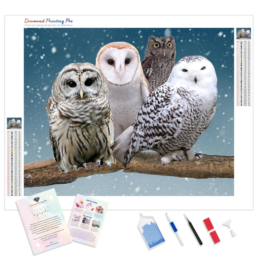 Owl Diamond Painting Kits | Full Drill Diamond Art – Diamond Painting Pro