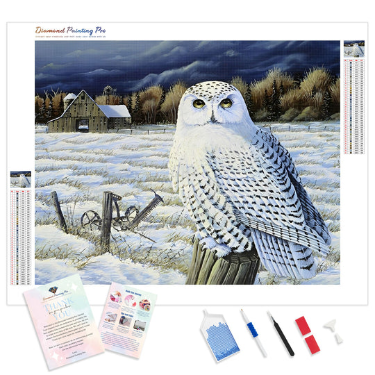 Owl Diamond Painting Kits | Full Drill Diamond Art – Diamond Painting Pro