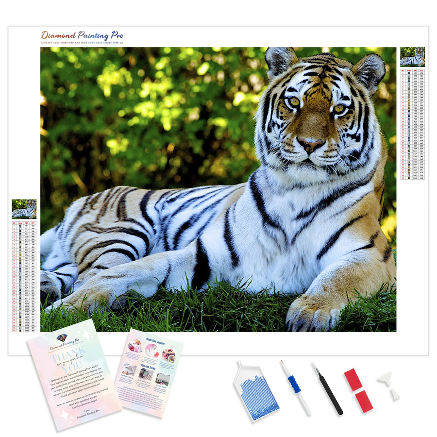 Tiger Diamond Painting Kits | Full Drill Diamond Art – Diamond Painting Pro